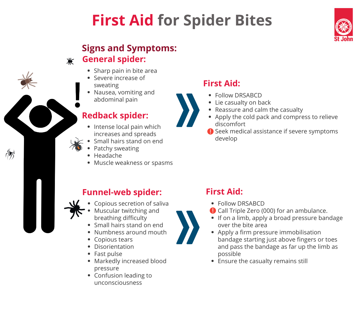 First Aid For Brown Recluse Spider Bite 46 OFF First Aid For Brown Recluse Spider Bite 46 OFF