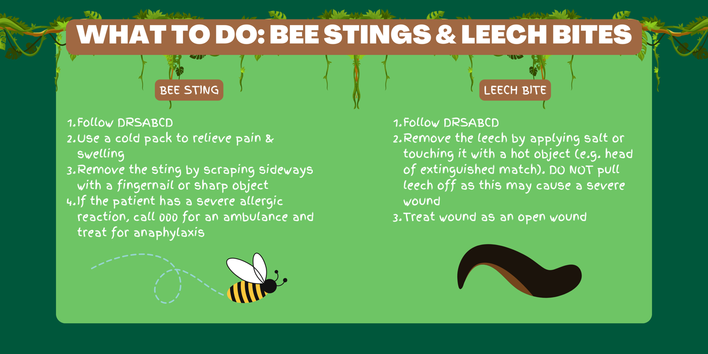 How To Provide First Aid For Bites And Stings | St John Vic